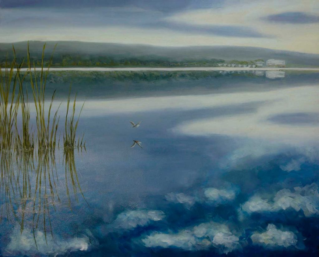 Vuelo - Arte Valdivia